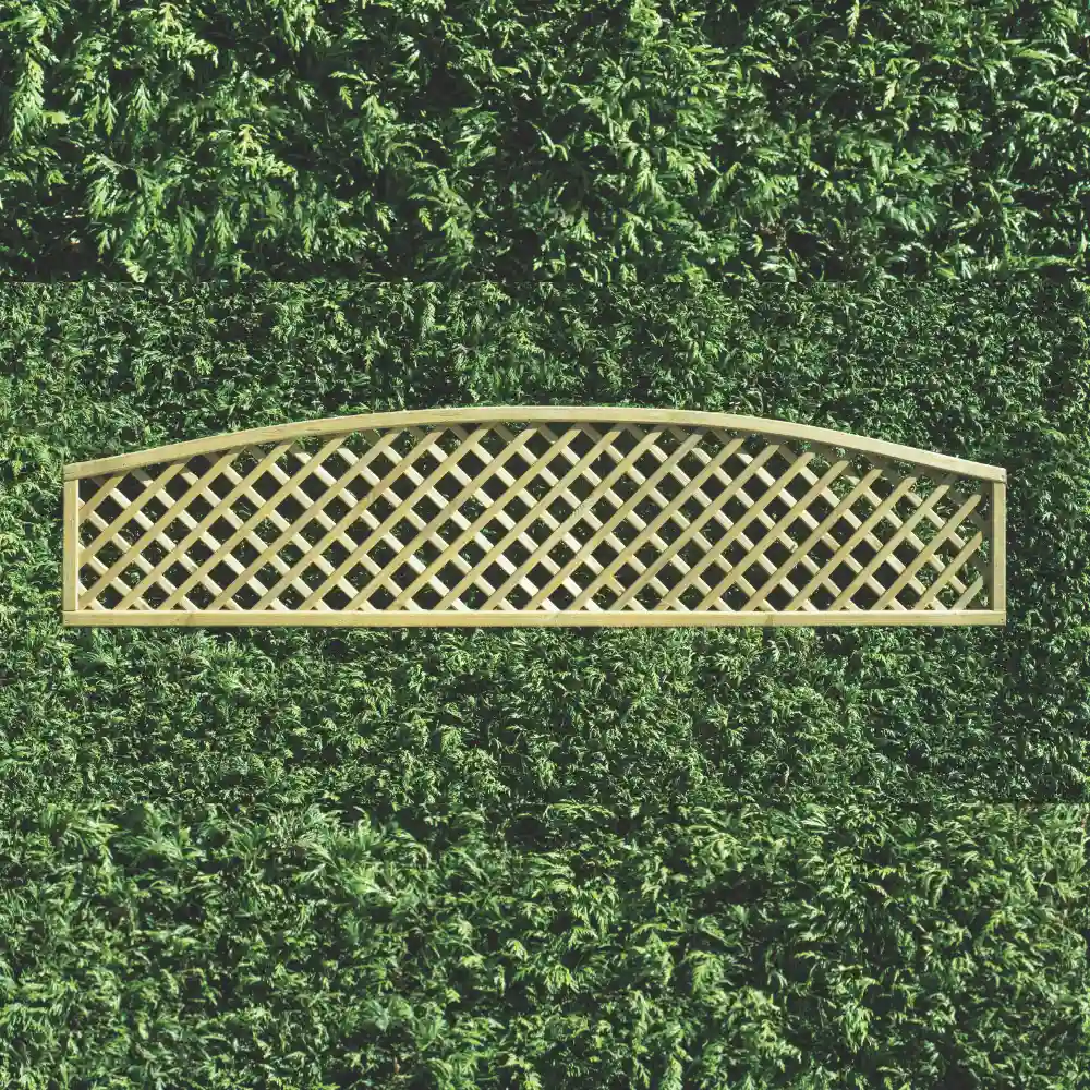 6FT x 1FT Diamond Garden Trellis – Convex – Pressure Treated Green ...