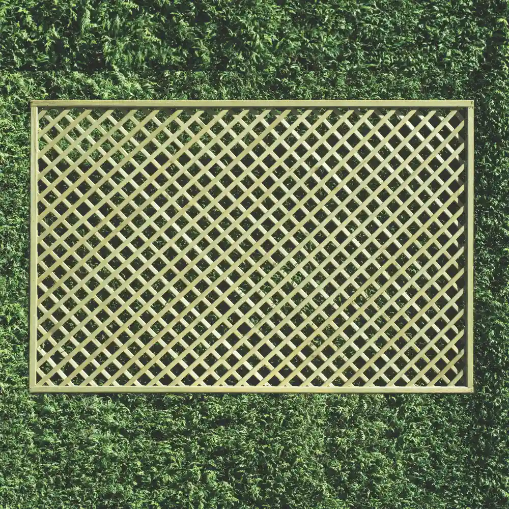 6FT x 4FT Diamond Garden Trellis – Pressure Treated Green - Clarke Fencing
