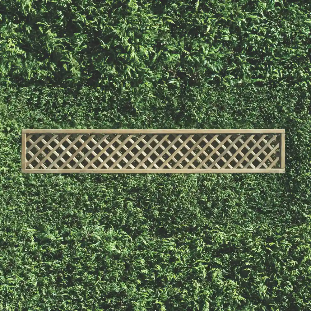 6FT x 1FT Diamond Garden Trellis – Pressure Treated Green - Clarke Fencing