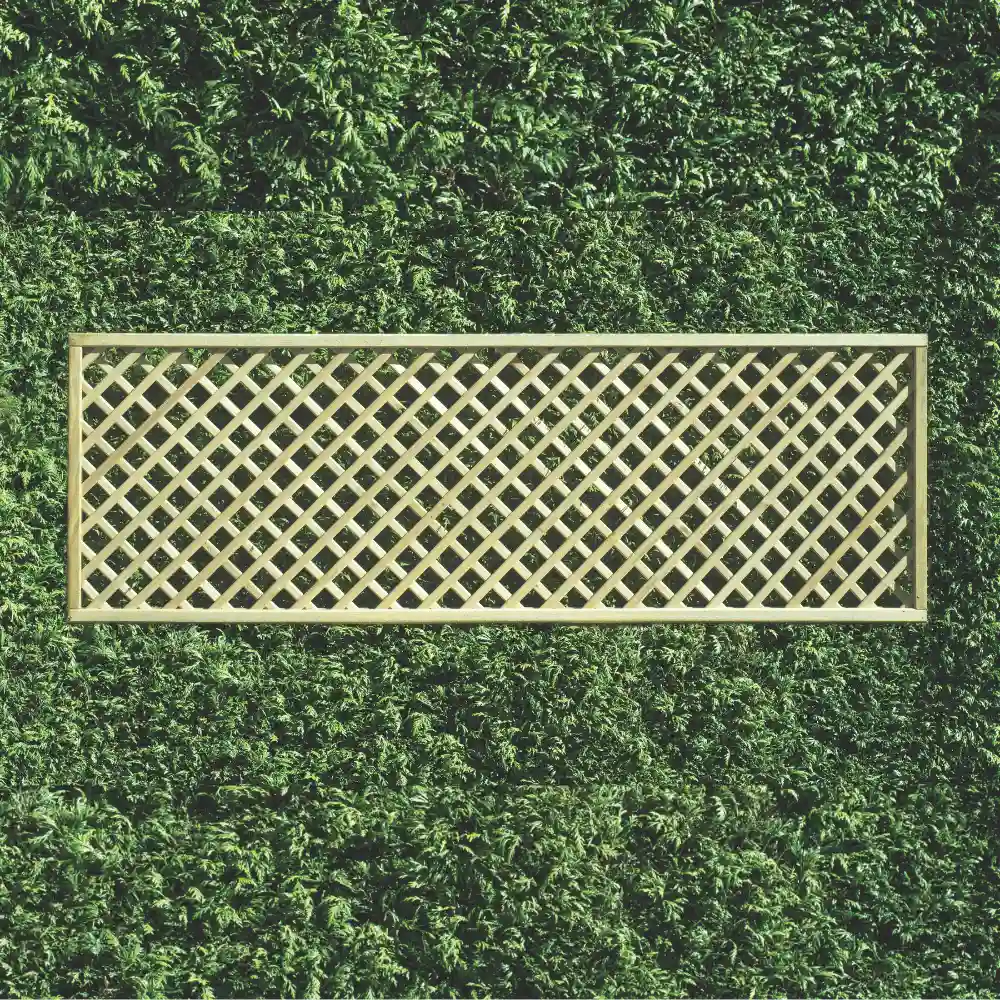 6FT x 2FT Diamond Garden Trellis – Pressure Treated Green - Clarke Fencing